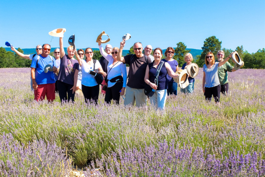Discover the Magic of France - Newsletter